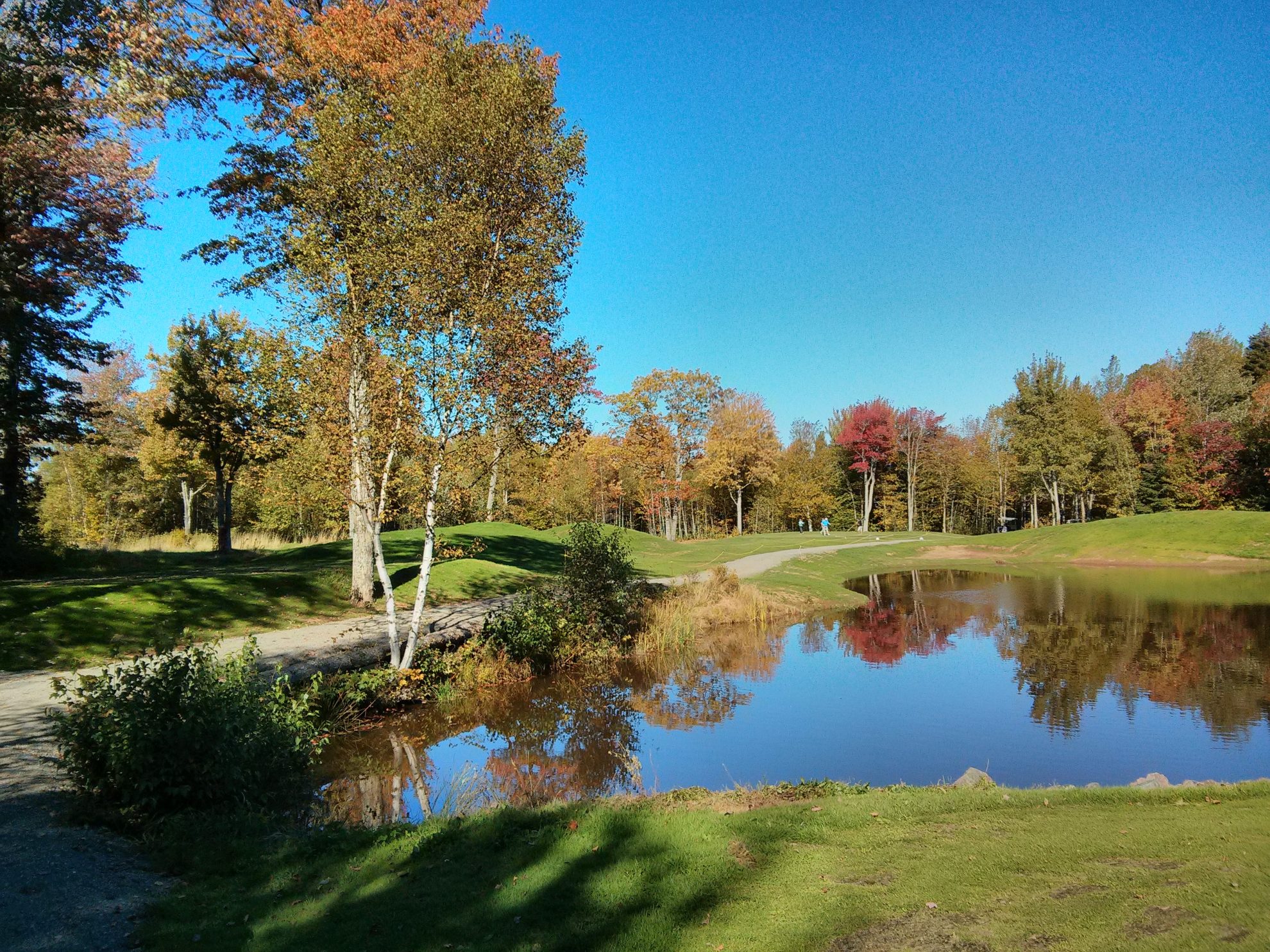 Maplewood - Golf New Brunswick
