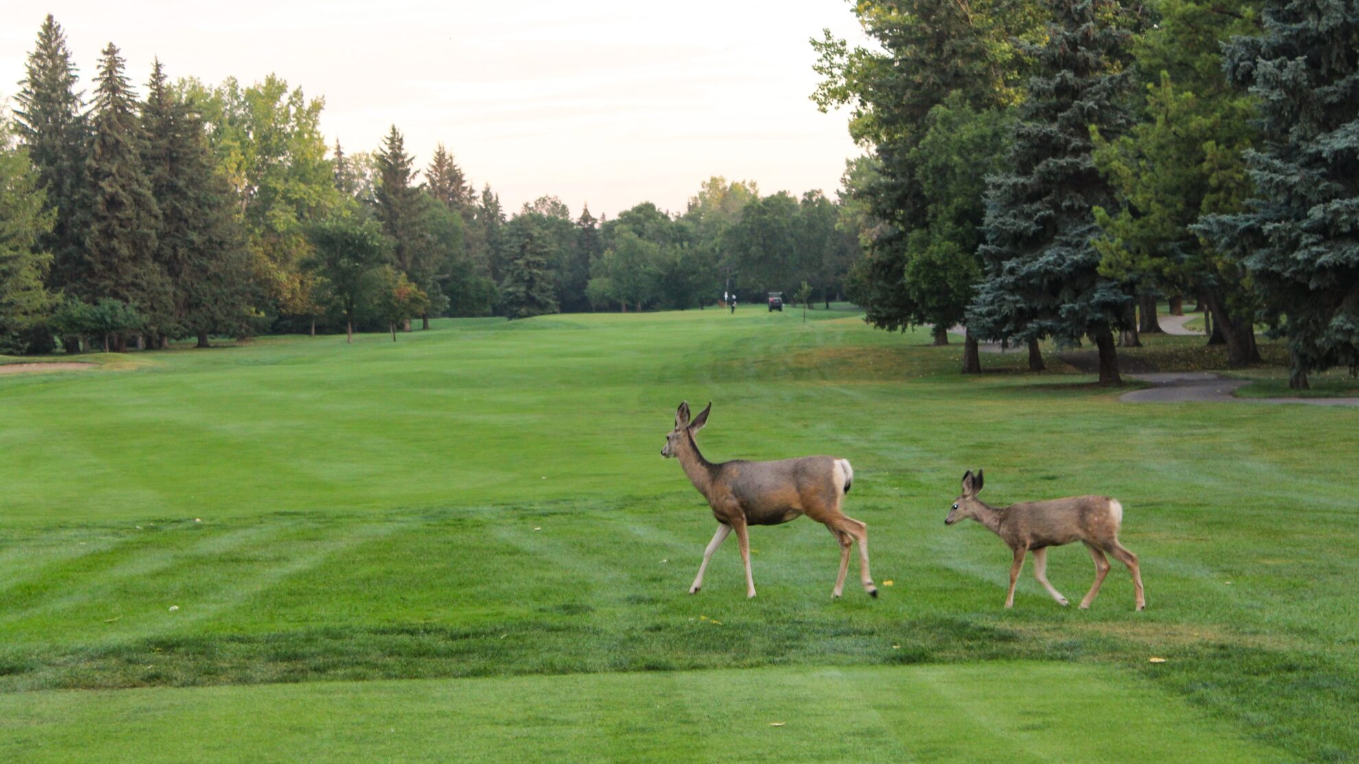 Mike Lohner and Rusty Strawn share lead heading into the final round of ...