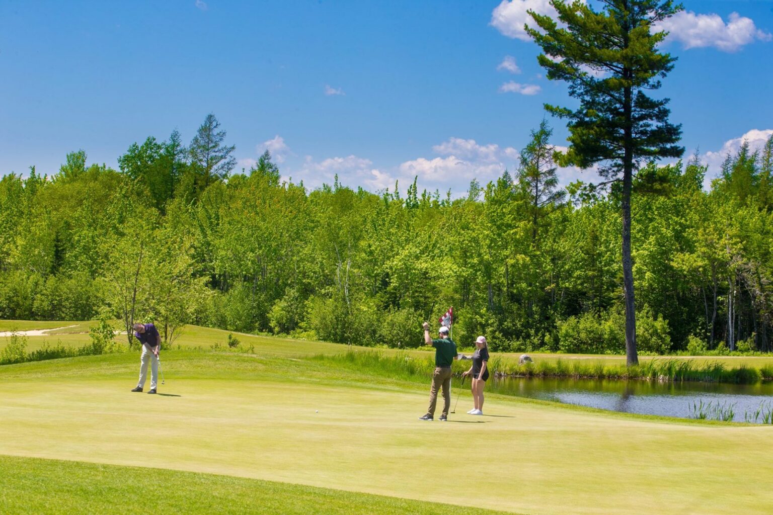 About Us - Golf New Brunswick
